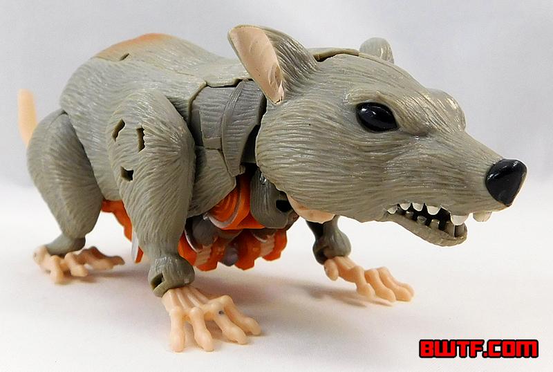 "Generations" Rattrap Toy Review | Ben's World of Transformers