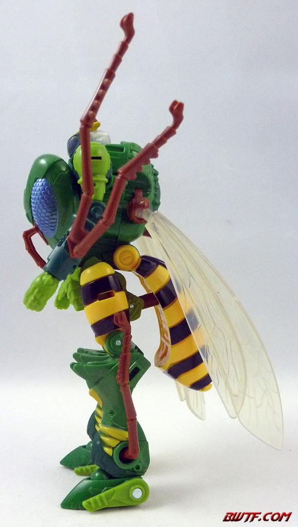 "Generations" Waspinator Toy Review | Ben's World of Transformers